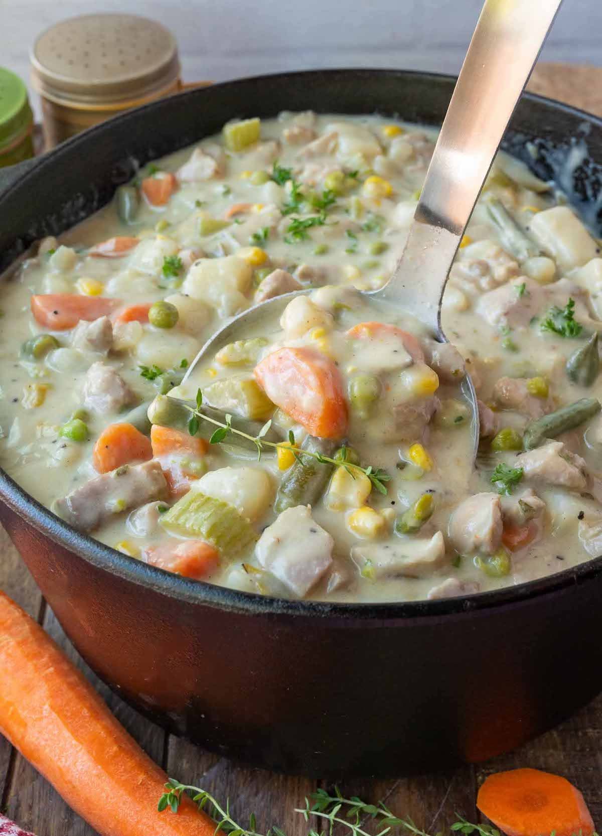 Creamy Chicken & Vegetable Stew Recipe - Tasty Family Recipes